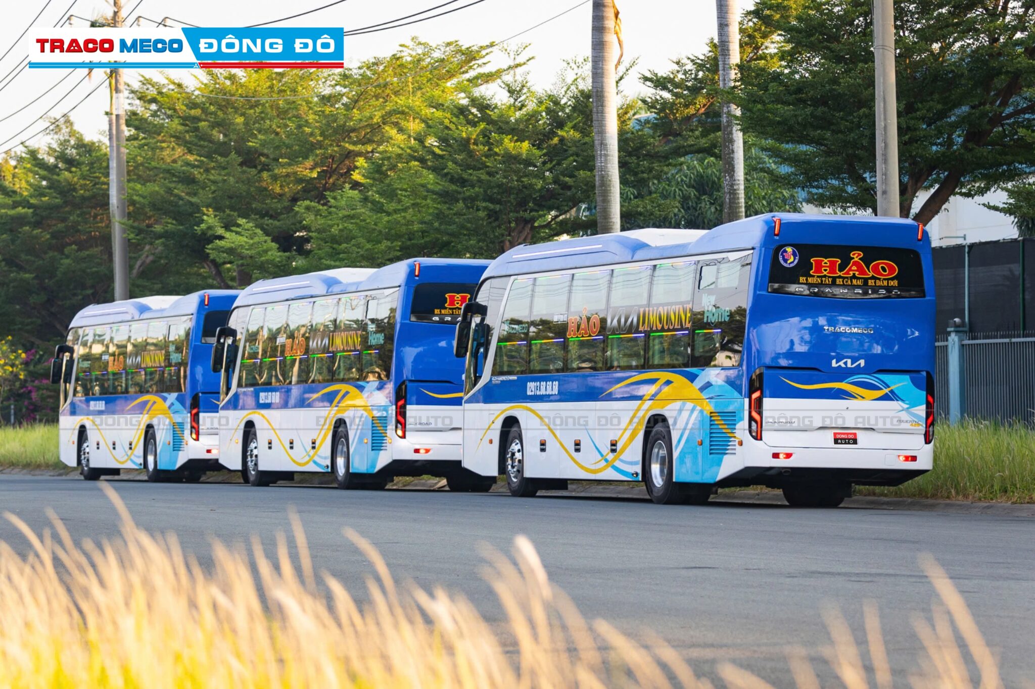 XE TRACOMECO KIA LIMOUSINE 24 PHÒNG HYUNDAI 425PS – ĐÔNG ĐÔ AUTO