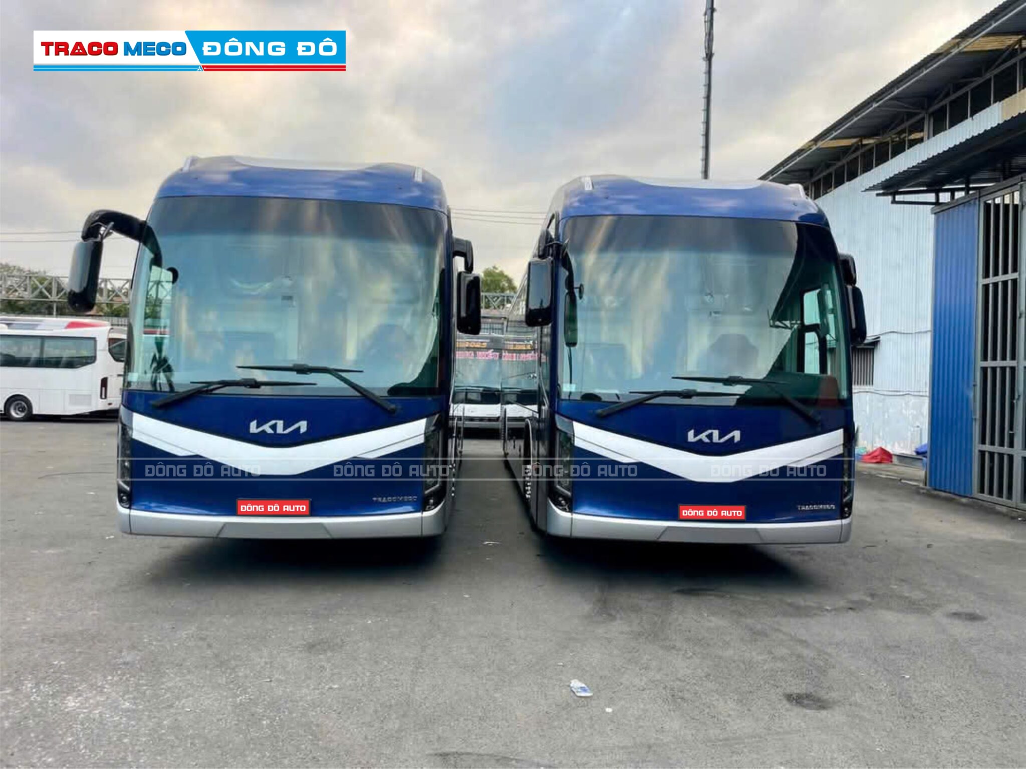 XE TRACOMECO KIA LIMOUSINE 24 PHÒNG HYUNDAI 425PS – ĐÔNG ĐÔ AUTO